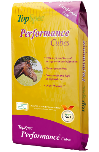TopSpec Performance Cubes